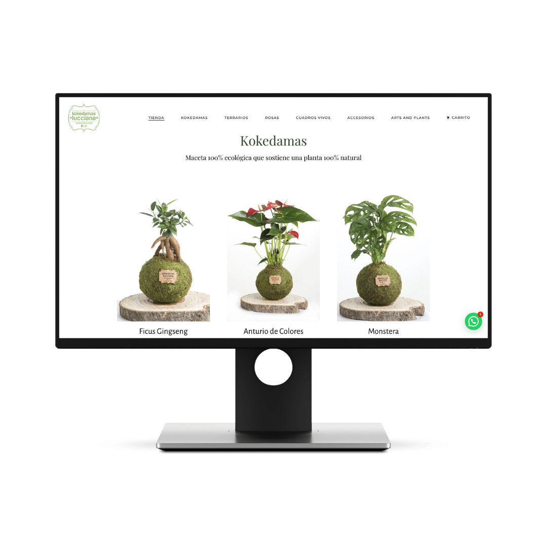 Casos Reales de Desarrollo Web - Citroflex